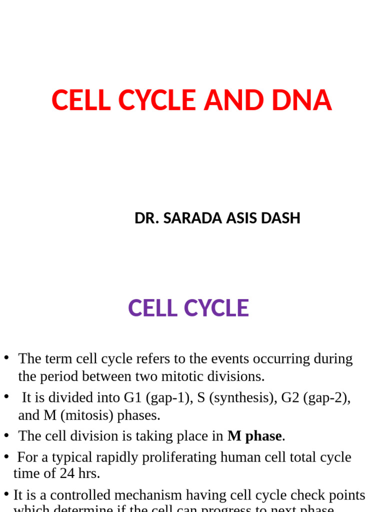 Understanding Cell Cycle and DNA Structure | PDF | Cell Cycle | Dna