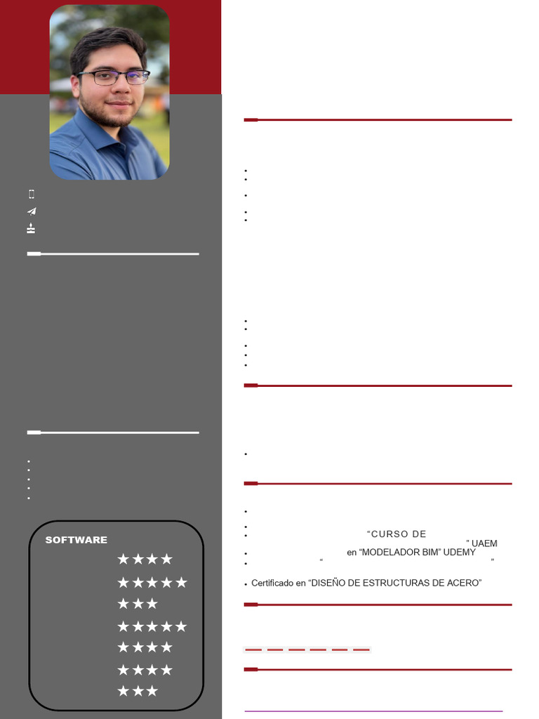 CV - Emiliano Vergara López - 2025 | PDF | Autodesk Revit | Arquitecto