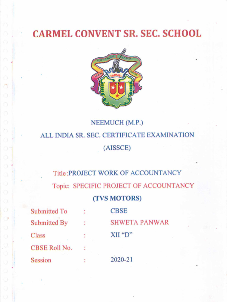 Project Work of Accounts Class 12th | PDF