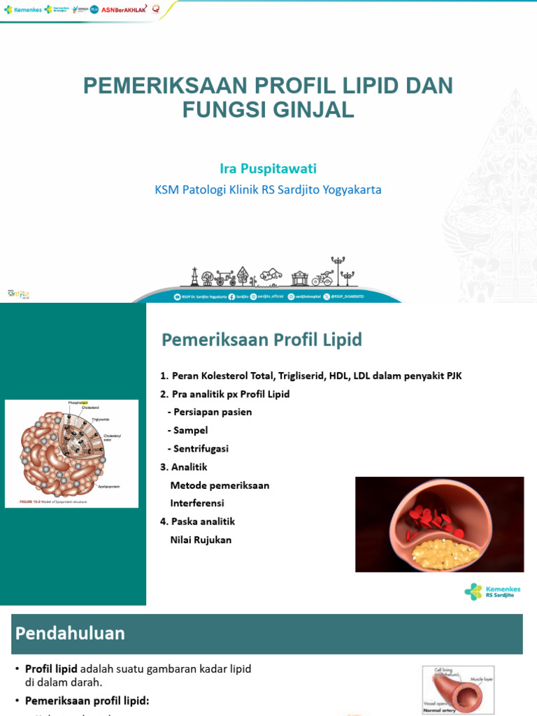 Pemeriksaan Profil Lipid Dan Fungsi Ginjal | PDF
