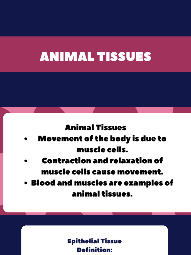 CLASS 9 NCERT Animal Tissues (DOES NOT INCLUDE NERVOUS TISSUE) | PDF | Epithelium | Connective ...