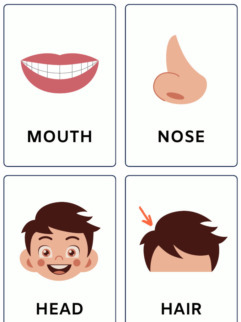 White Neutral Parts of The Body Flashcards | PDF