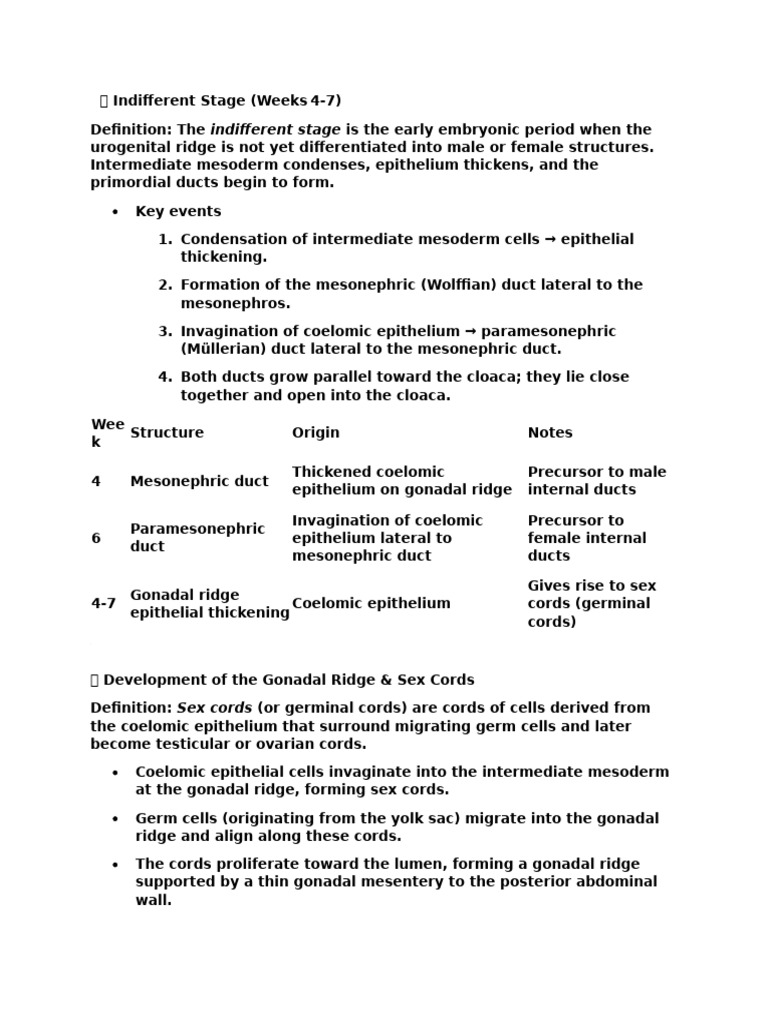 Histology and Embryology of Male Reproductive System | PDF | Testicle ...
