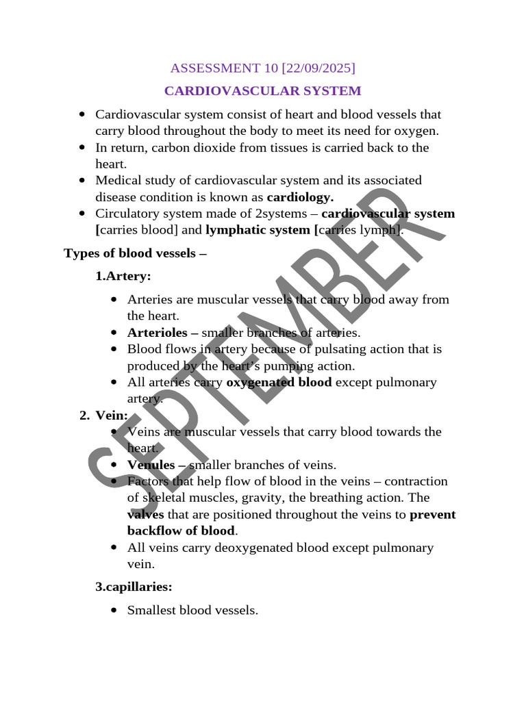 Assessment 10 Cardiovascuar System (22nd September) | PDF | Circulatory ...