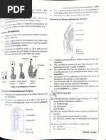 Function and Role of Plumule in Seeds | PDF | Seedling | Biology