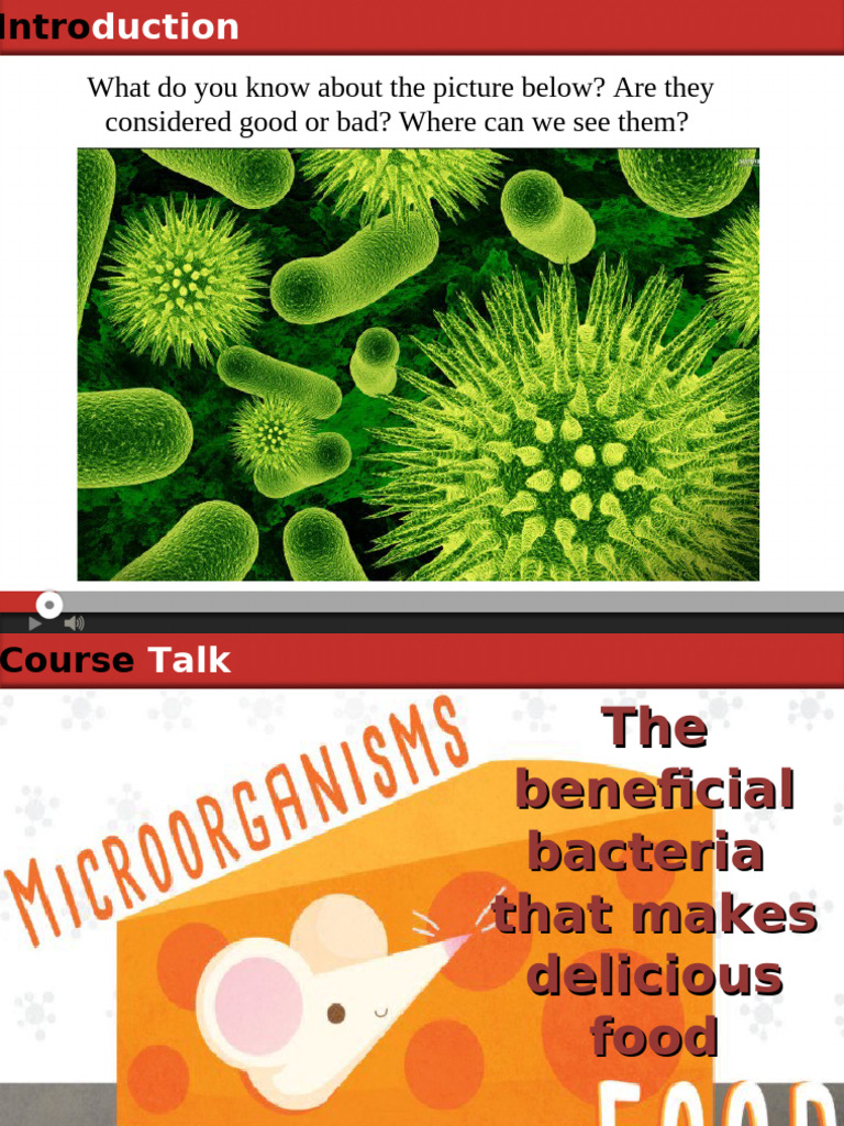 The Beneficial Bacteria That Make Delicious Food - Erez Garty | PDF ...