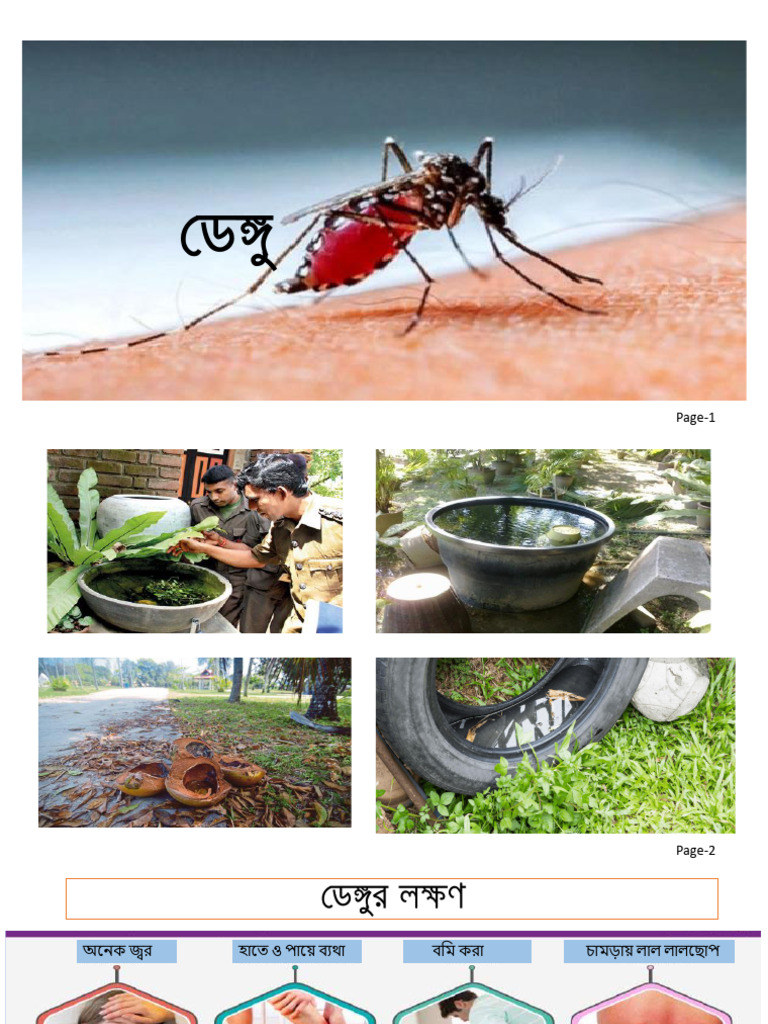 Dengue 25.07.2023 For SSB | PDF