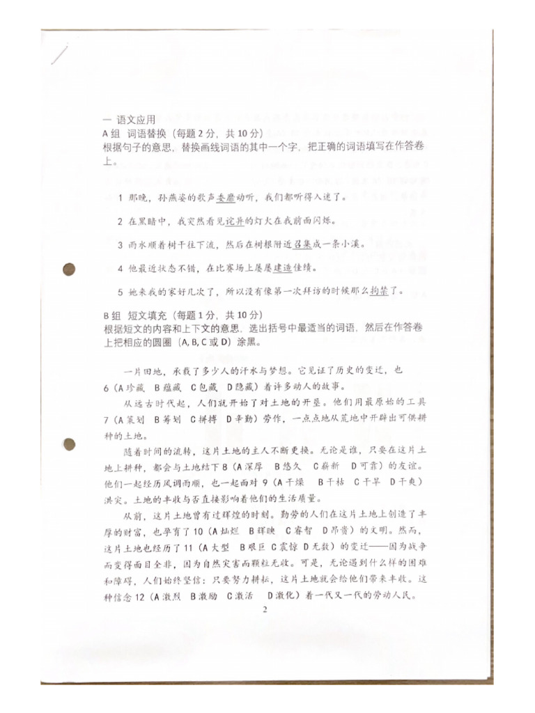 MSHS 2023 Chinese PAPER 2 | PDF