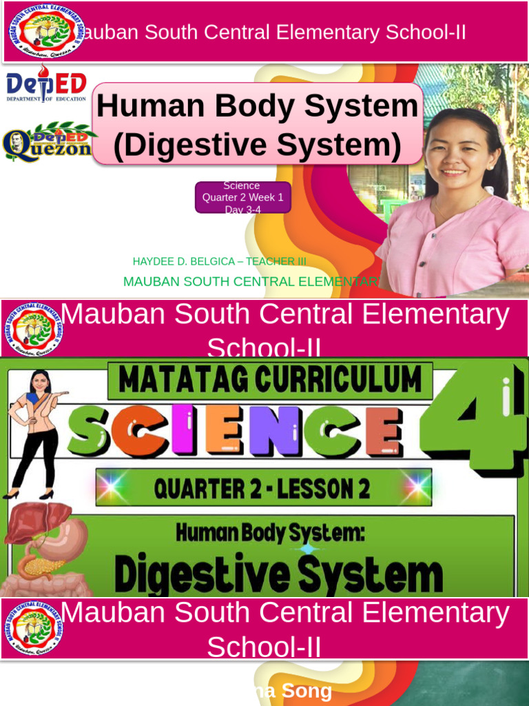 Digestive System Lesson Plan for Kids | PDF