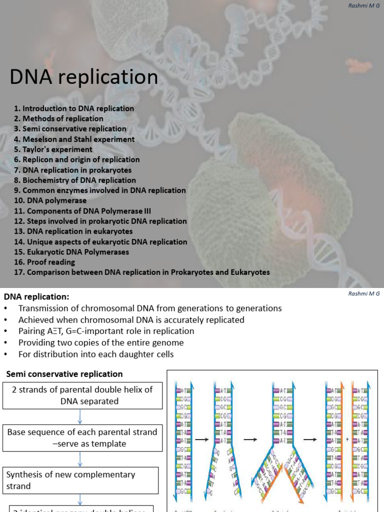 DNA Replication: Mechanisms and Experiments | PDF | Dna Replication | Dna