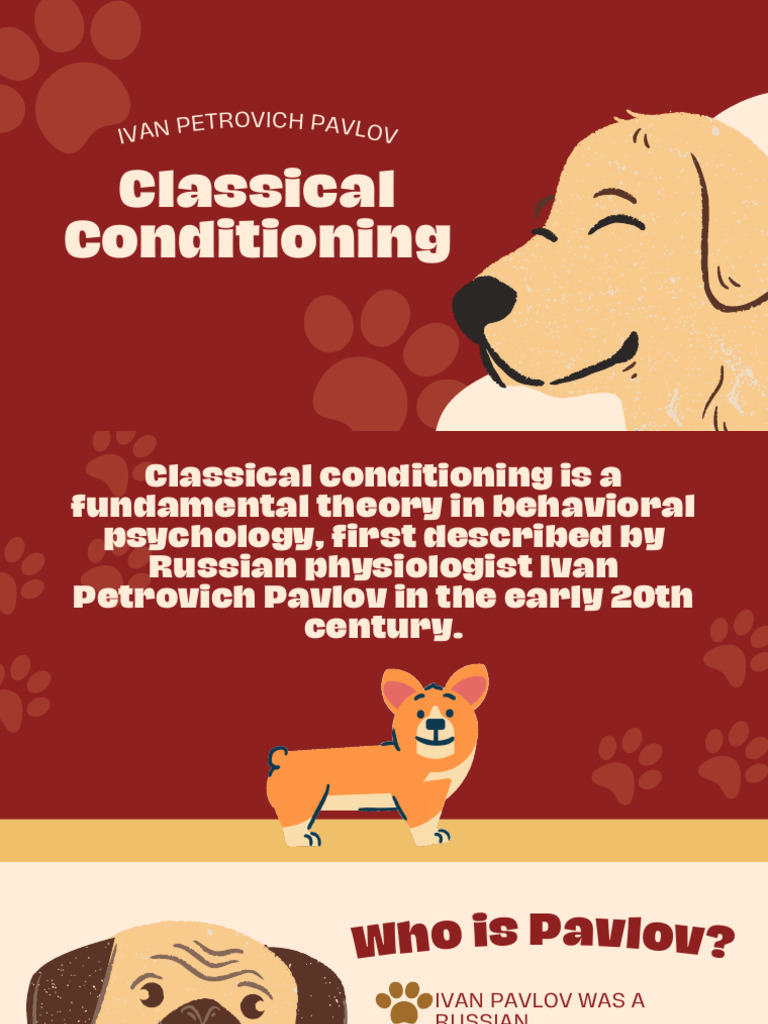 Pavlov Classical Conditioning | PDF | Classical Conditioning | Behavior ...