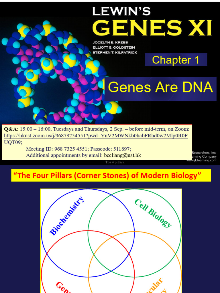 Understanding DNA: Genes and Mutations | PDF | Dna | Nucleic Acid Sequence