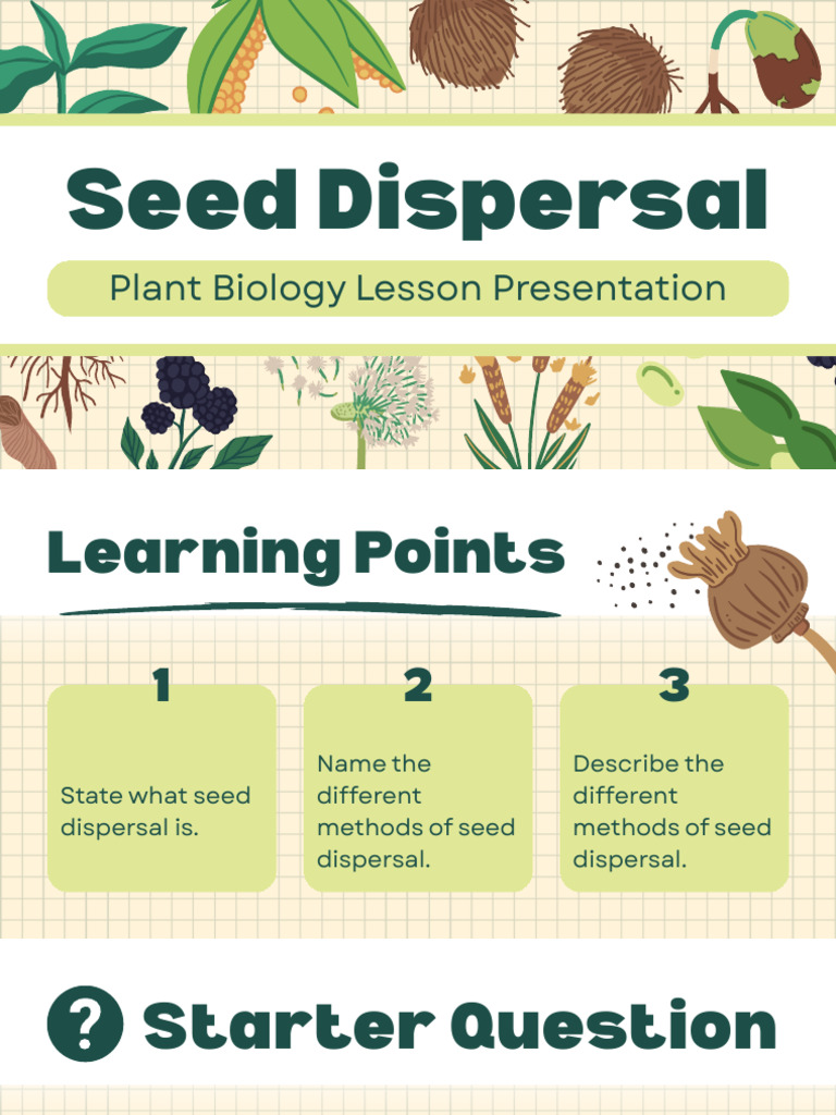 Seed Dispersal Biology Presentation in An Illustrative Style | PDF ...