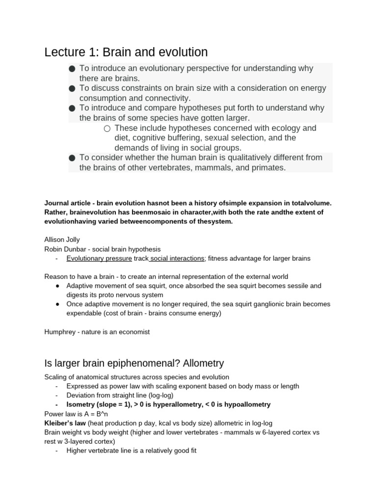 All PSYC - NSCI 160 Notes Organized | PDF | Spinal Cord | Neuroanatomy