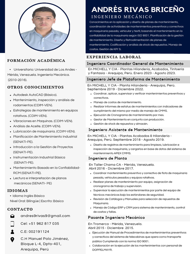 Cv Andres Rivas Briceño | PDF | Ingeniería