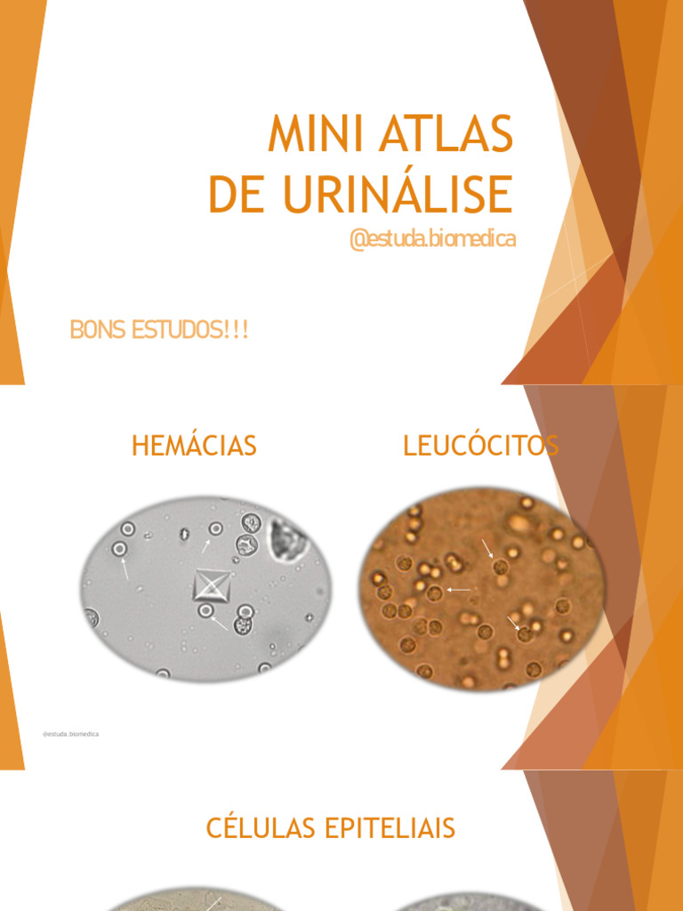 Mini Atlas Uroanalise | PDF