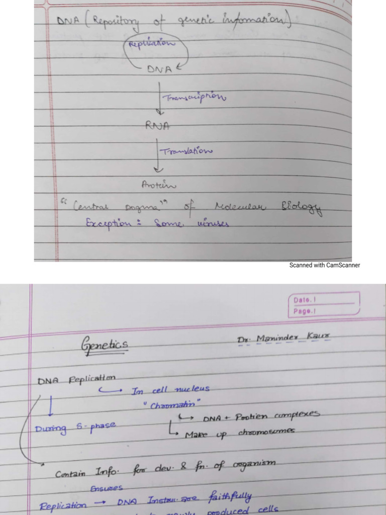 Dna Replication | PDF