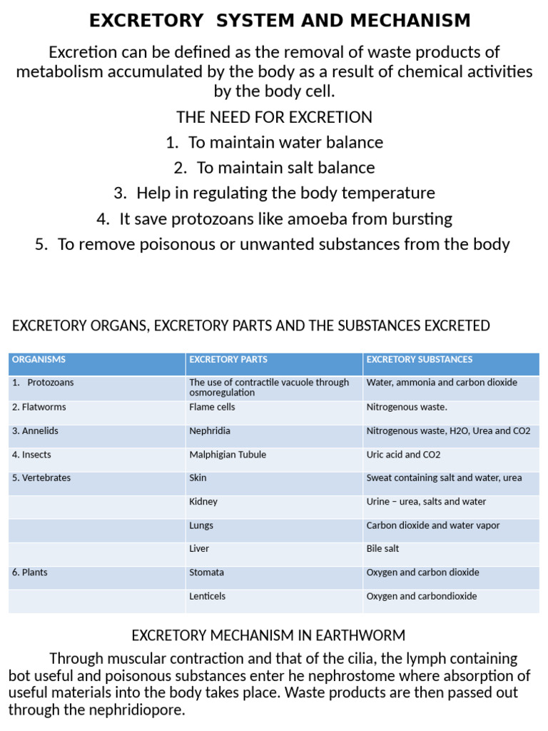 Excretory System and Mechanism | PDF | Excretion | Kidney