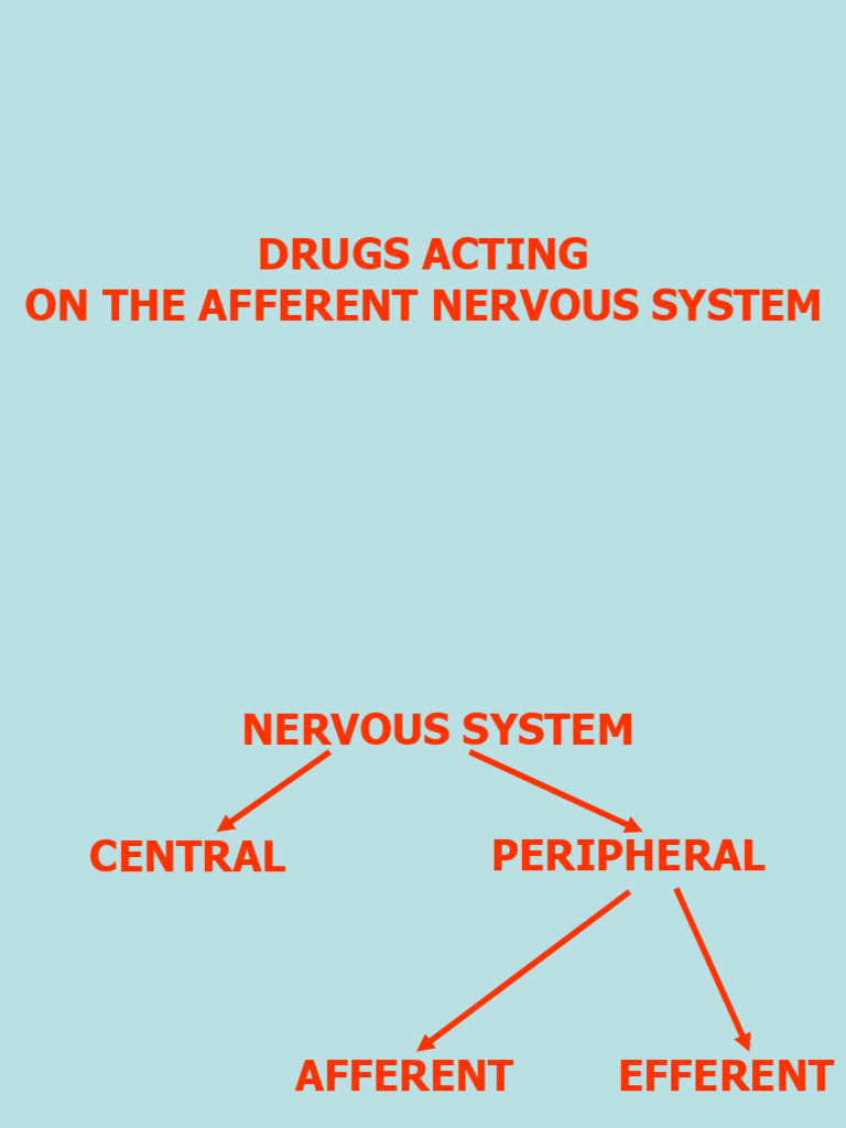 Afferent Nervous System Drugs Overview | PDF | Axon | Cocaine