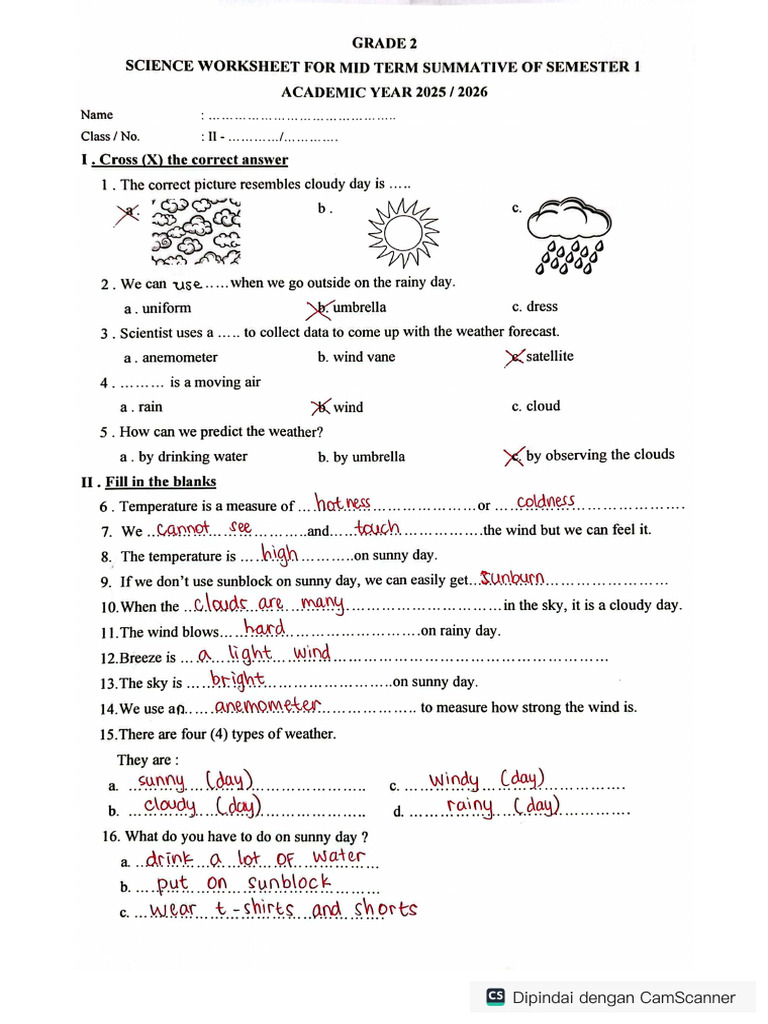 Answer Key of Science Worksheet, 2nd Grade | PDF