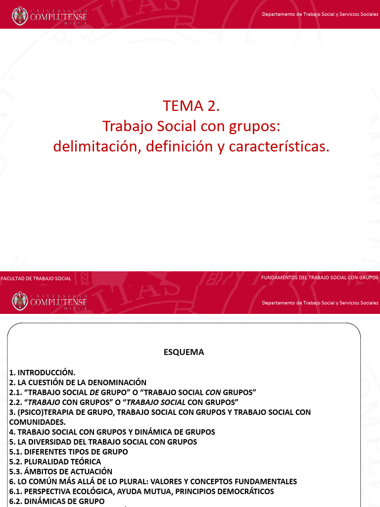 FTSG Tema 2 | PDF | Trabajo Social | Psicoterapia