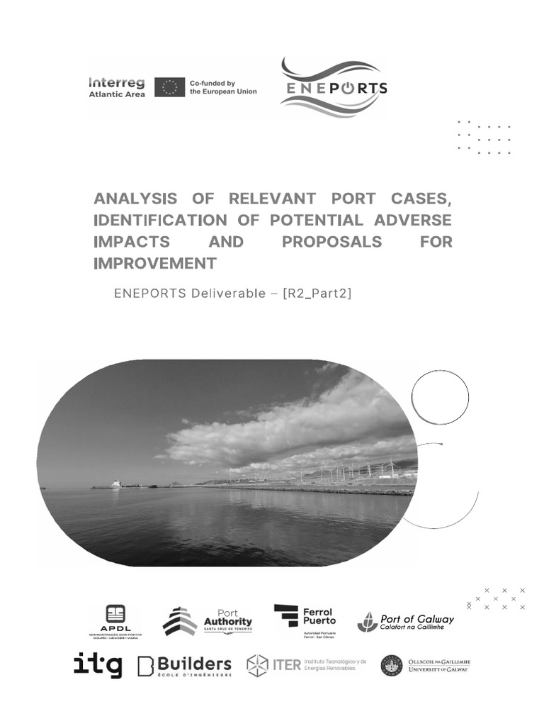 Analysis of Relevant Port Cases | PDF