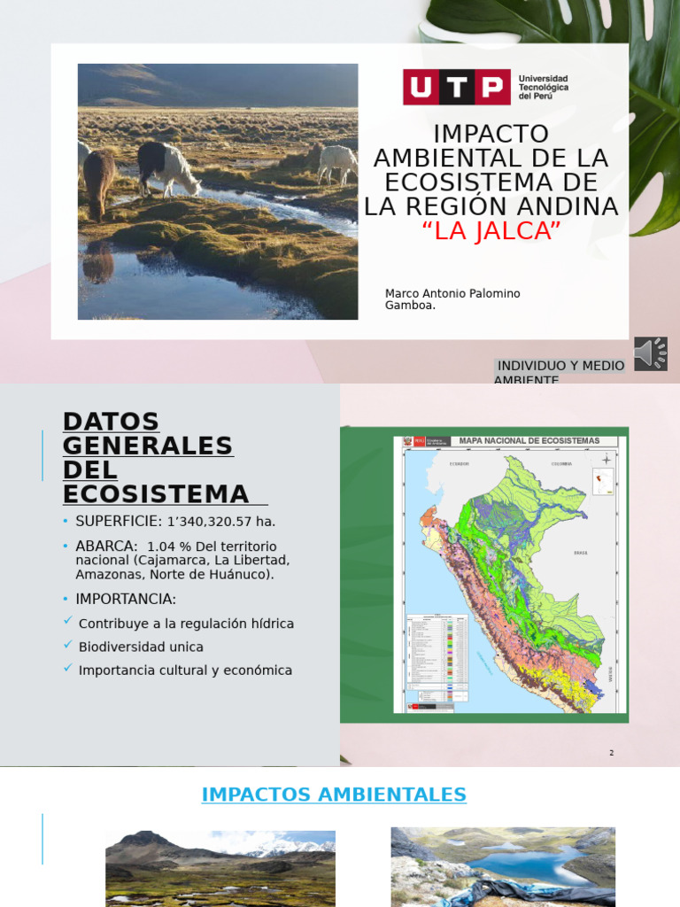 Ecositema 2 | PDF