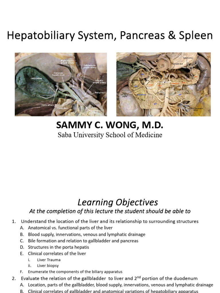 Hepatobiliary System, Pancreas Spleen | PDF | Liver | Pancreas