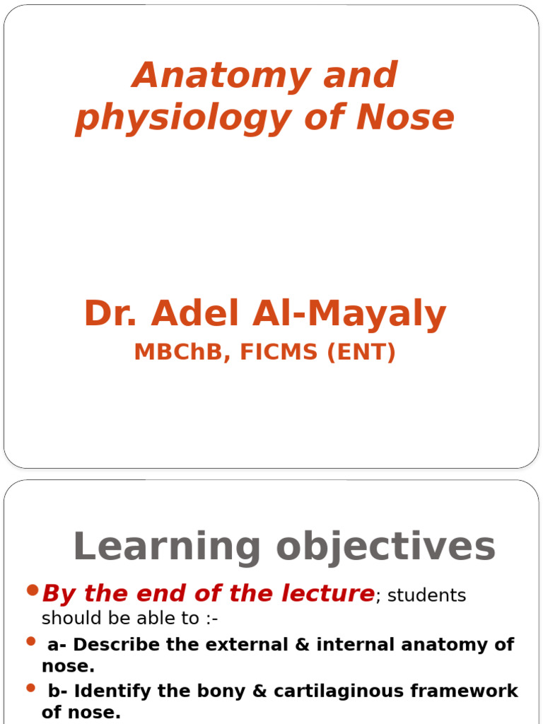 Anatomy & Physiology of Nose | PDF | Human Nose | Mucus