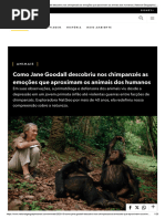 Vombate: Cocô em Forma de Cubo | PDF