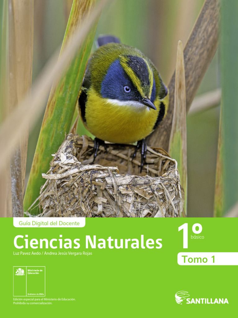 Libro Naturalezza 1ro | PDF