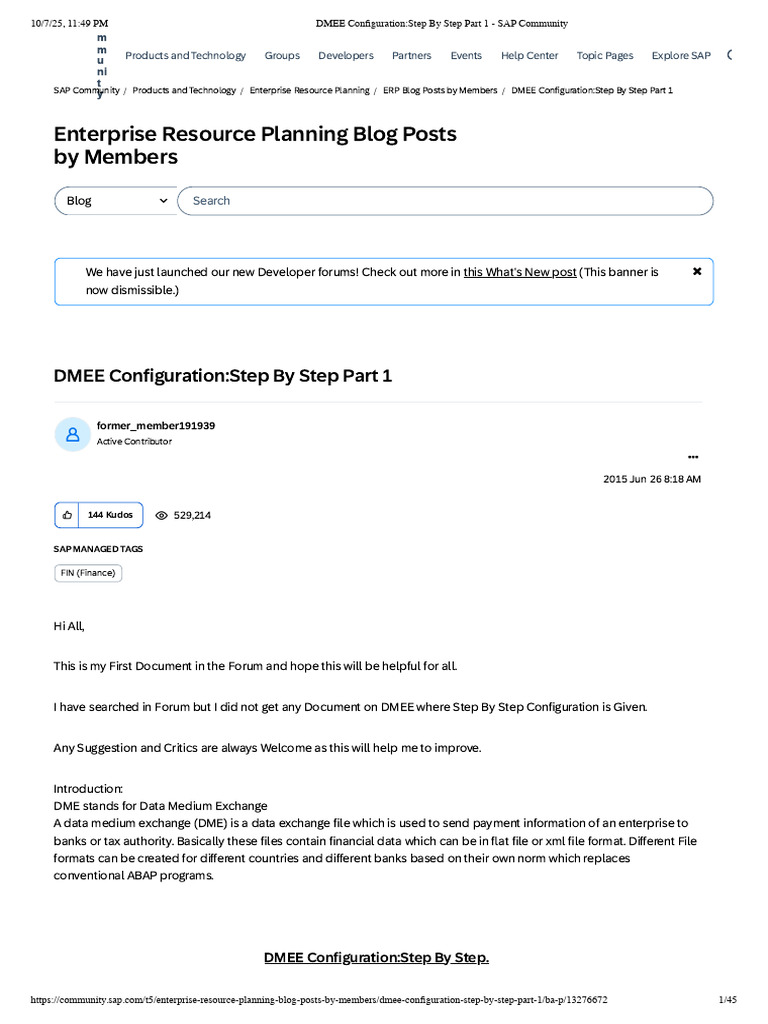 DMEE Configuration Guide: Part 1 | PDF | File Format | Enterprise Resource Planning