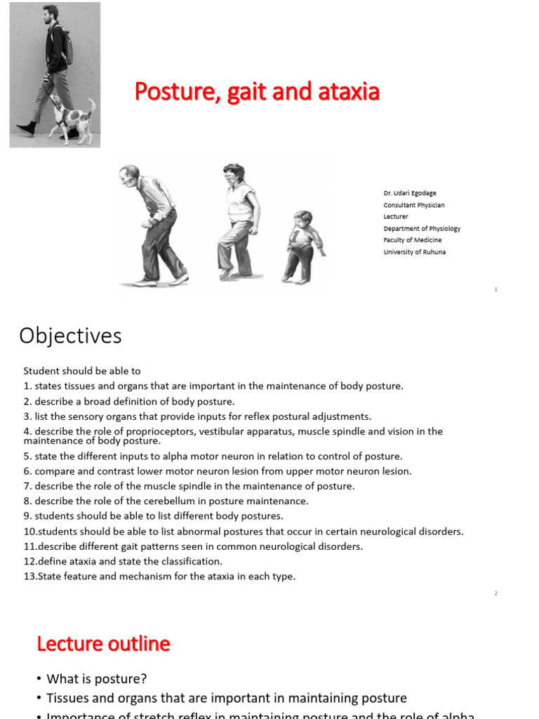 Posture, Gait and Ataxia Lecture 2025 - 250404 - 055839 | PDF | Motor ...
