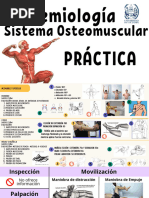 Digestión: Bolo, Quimo y Quilo | PDF | Digestión | Tracto gastrointestinal