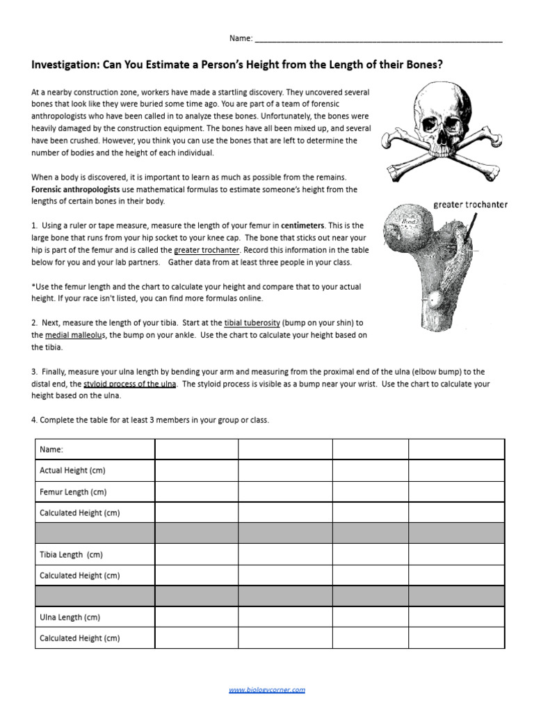 Estimating Height from Bone Lengths | PDF | Lower Limb Anatomy ...