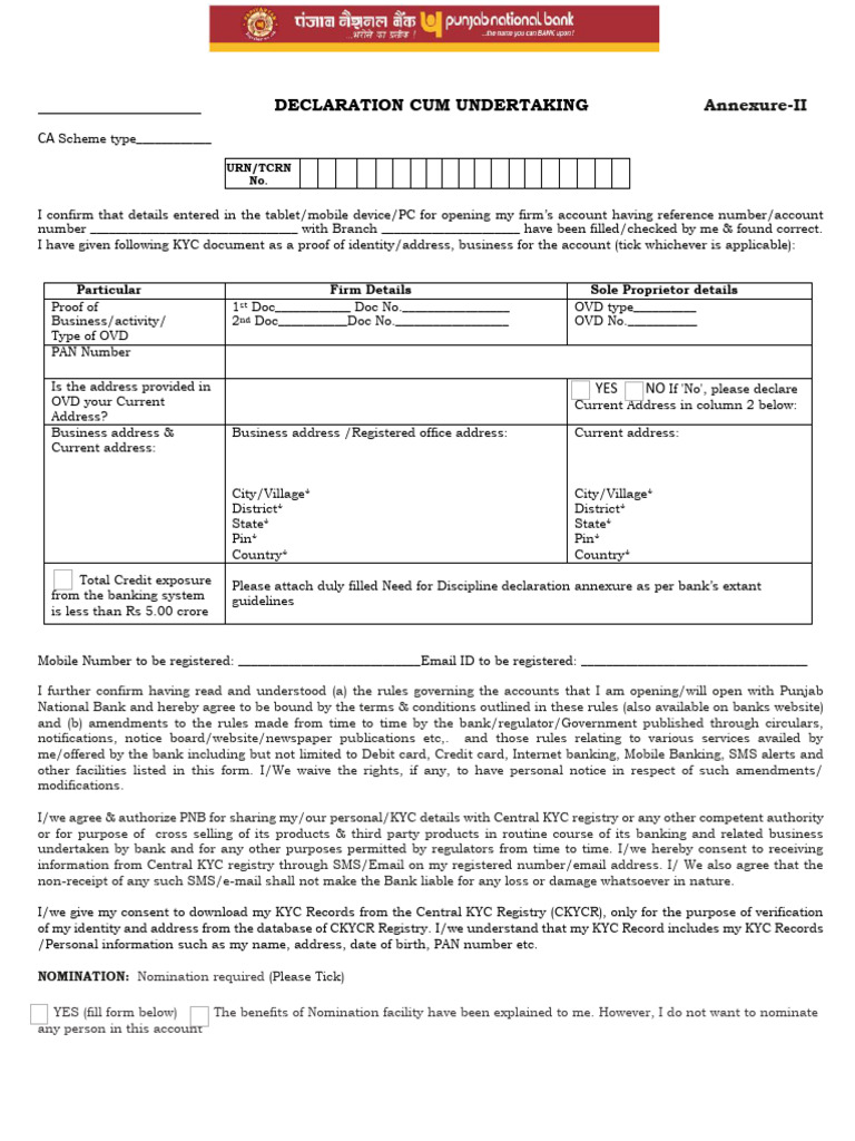Revised Annexure II PNB 1291 (R1) Proprietorship Account | PDF | Banks