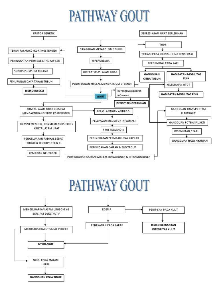 Pathway Gout