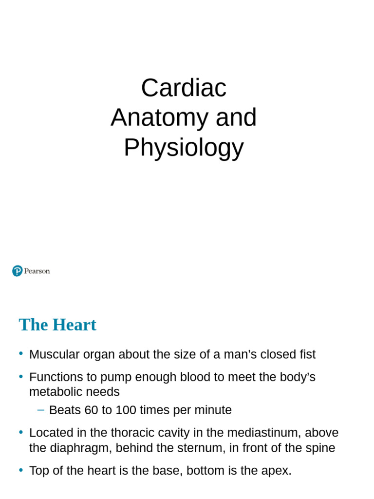 Cardiac A&p Powerpoints1 | PDF | Heart Valve | Atrium (Heart)