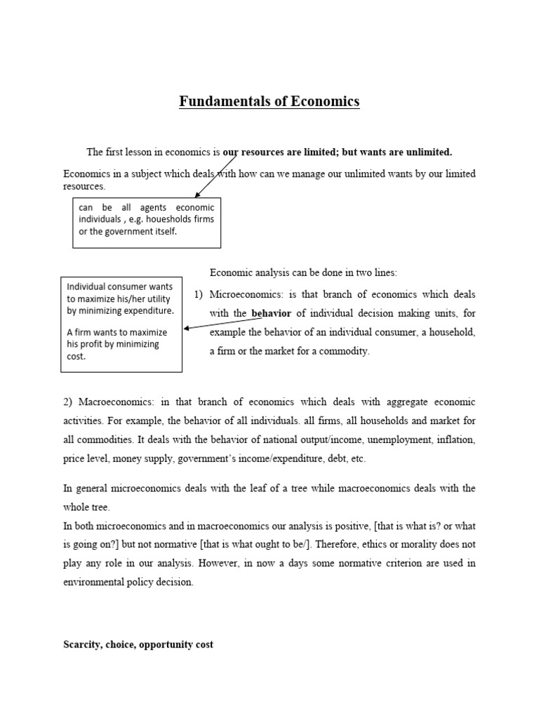 Fundamentals of Economics Explained | PDF | Economics | Microeconomics