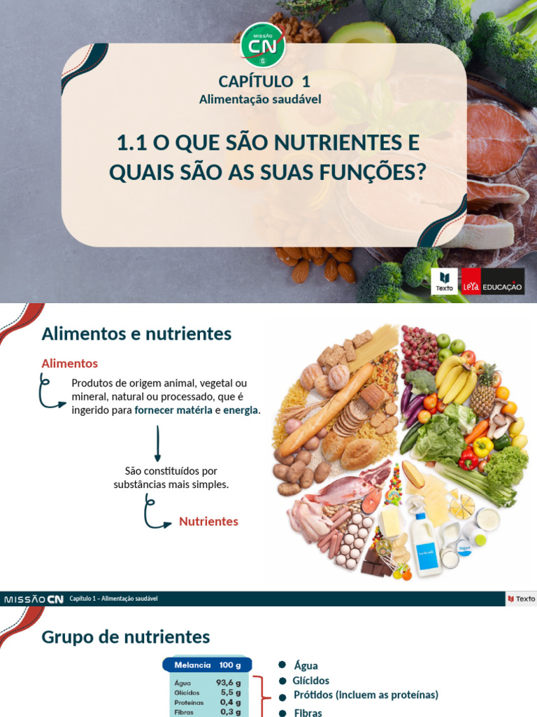 1.1 O Que São Nutrientes e Quais São As Suas Funções | PDF | Nutrientes ...
