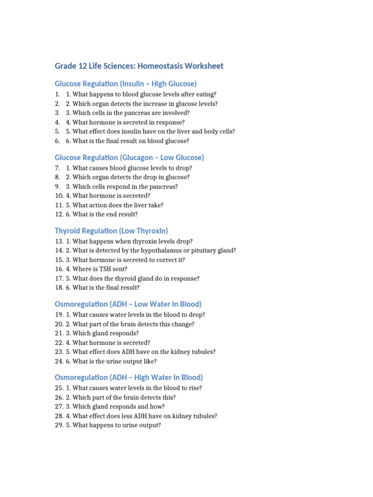 Homeostasis Worksheet Grade12 | PDF