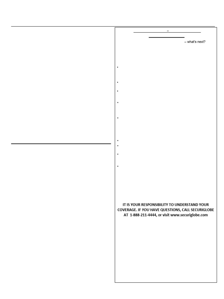 Securiglobe Green Shield Insurance Policy | PDF | Insurance | Expense