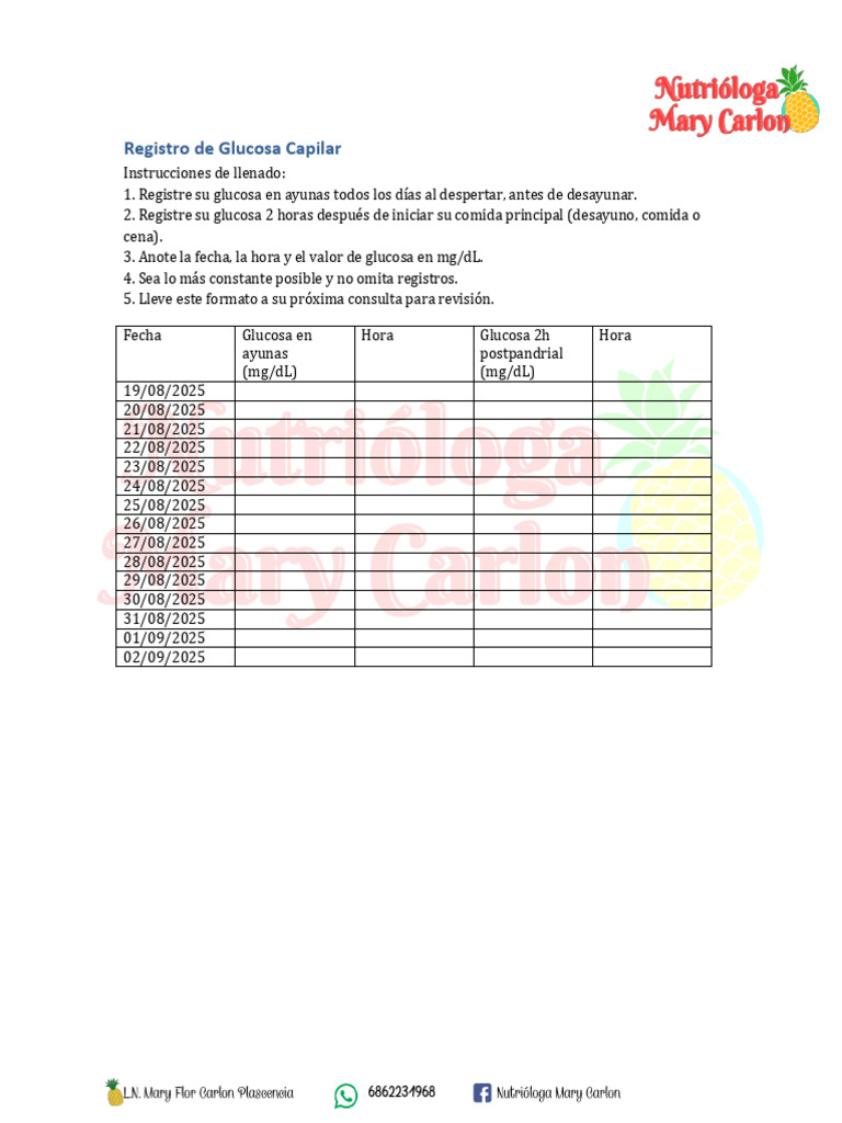 Registro Diario de Glucosa Capilar | PDF