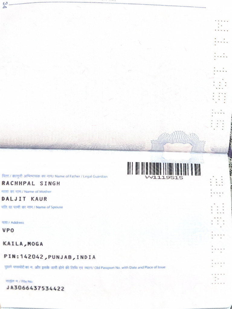 Passport 2 | PDF