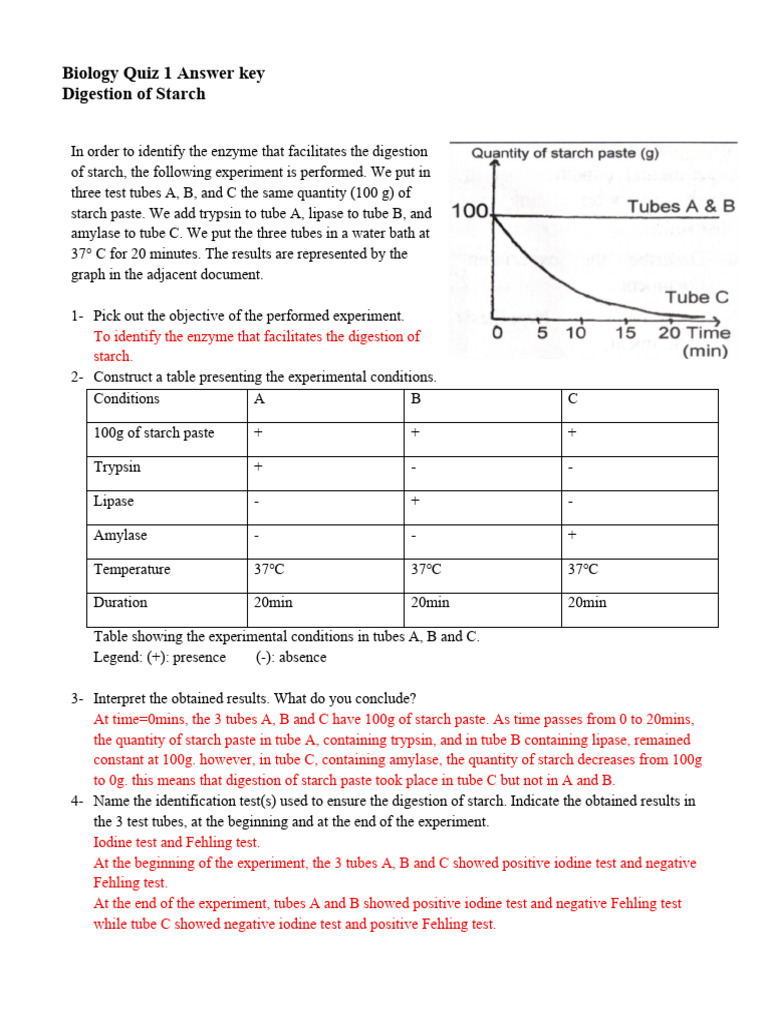 LyqEoNEOAaJ-Quiz 1 - Answer Key - Attach | PDF