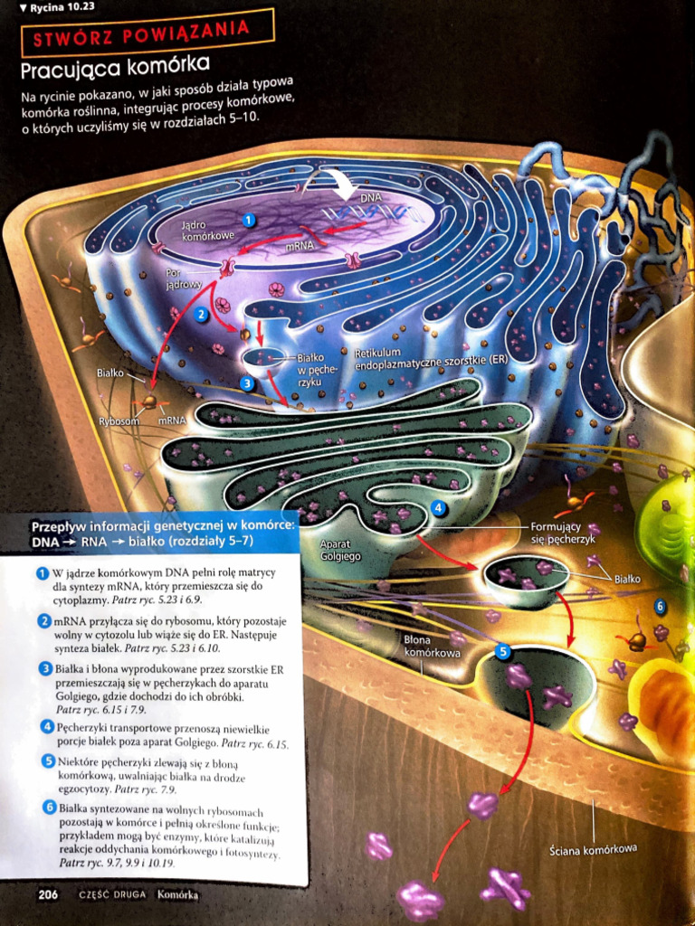 Księga 2 Sty 2025 | PDF