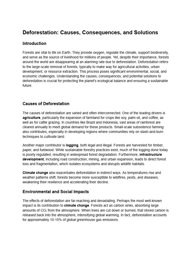 Deforestation: Causes and Solutions | PDF | Deforestation | Forests