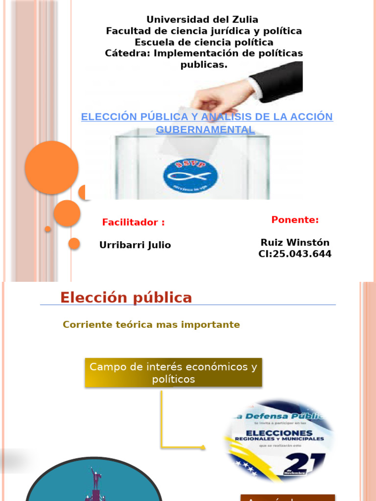 Eleccion Publica Winston | PDF