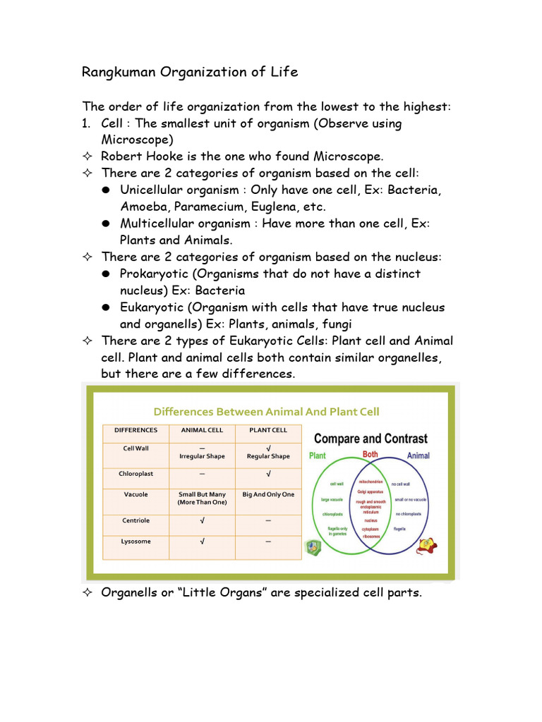 Hierarchy of Life Organization Explained | PDF | Cell (Biology) | Organelle