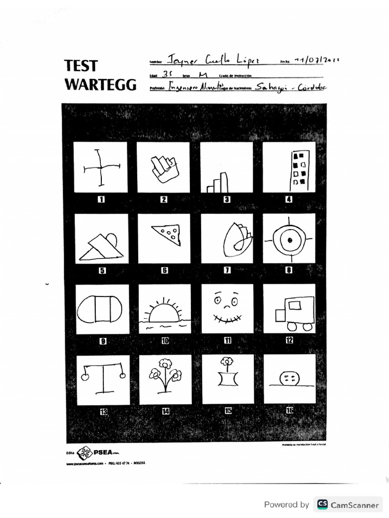 Test de Wartegg | PDF